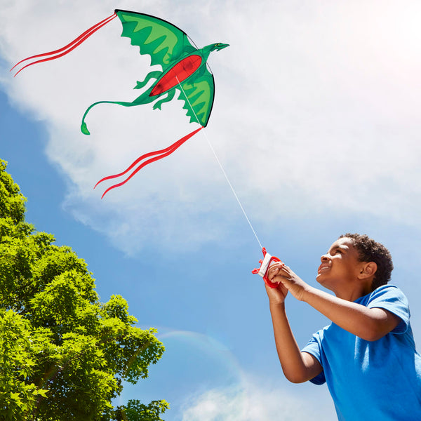 Melissa & Doug Winged Dragon Shaped Kite - Little Folks NYC